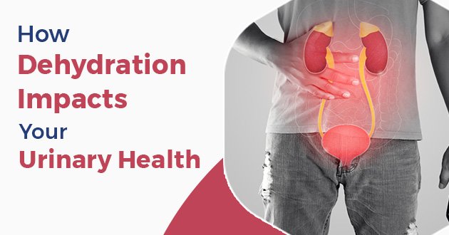 How Dehydration Affects Urinary Health | Sree Maatre